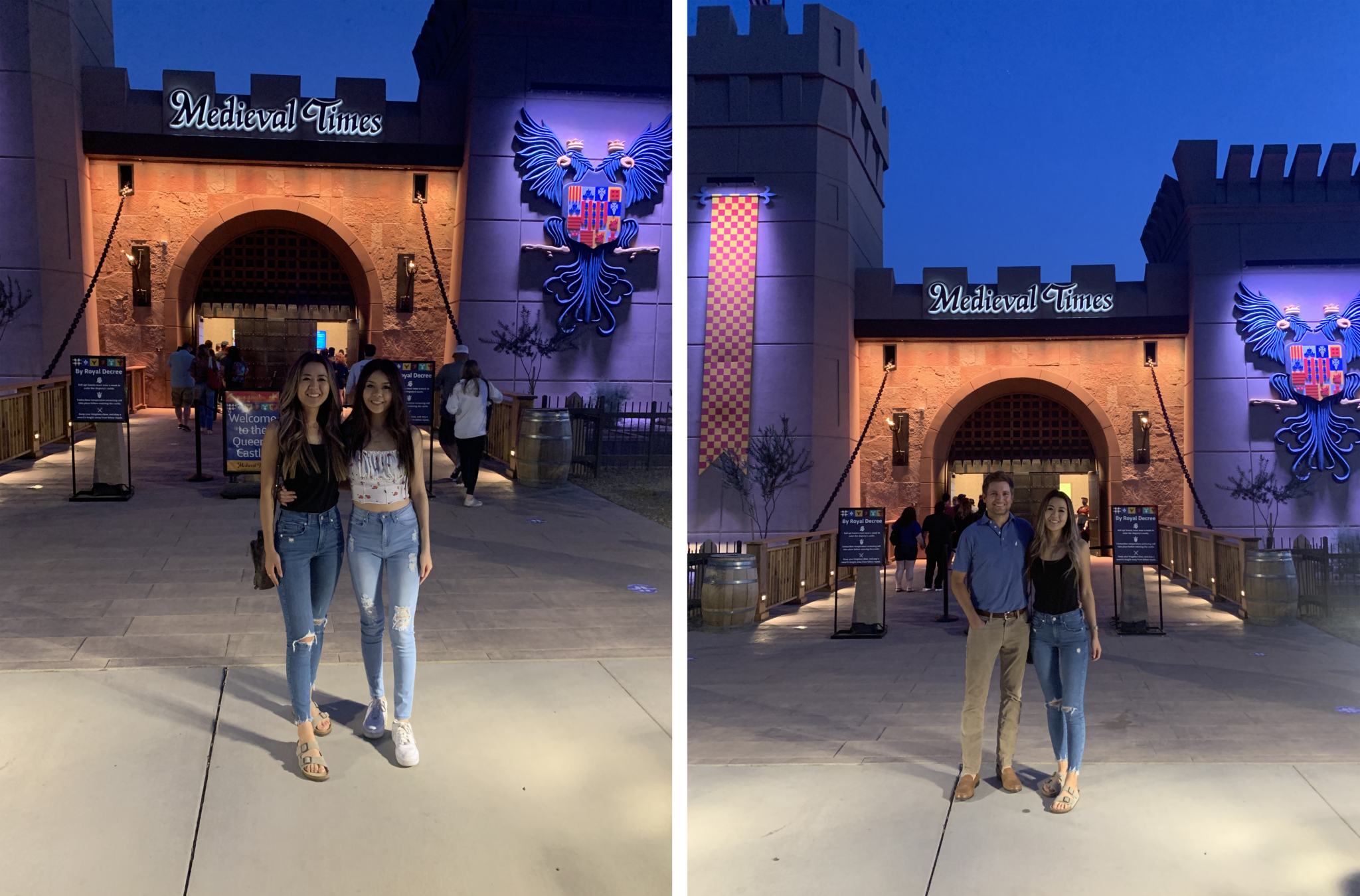 A Night of Jousting, Horsemanship & Falconry | Demi Bang