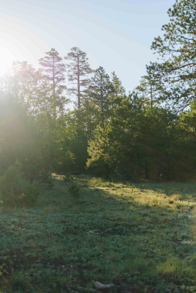 10 Things While Camping in Happy Jack | Demi Bang